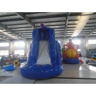 Inflatable Caterpillar Tunnel